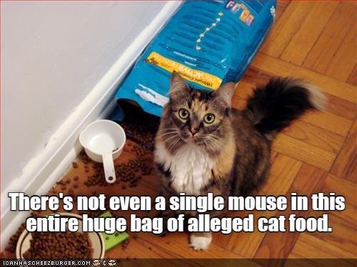 Call this cat food? - Lolcats - lol | cat memes | funny cats | funny ...
