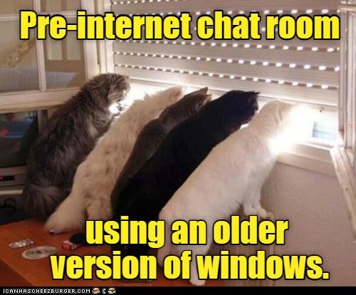 Windows XP - Lolcats - lol | cat memes | funny cats | funny cat ...