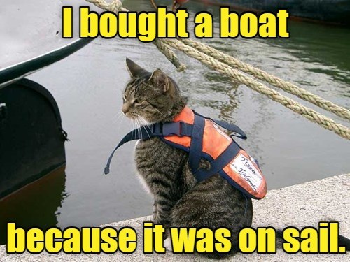 On sail - Lolcats - lol | cat memes | funny cats | funny cat pictures ...