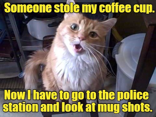 Mug shots - Lolcats - lol | cat memes | funny cats | funny cat pictures ...