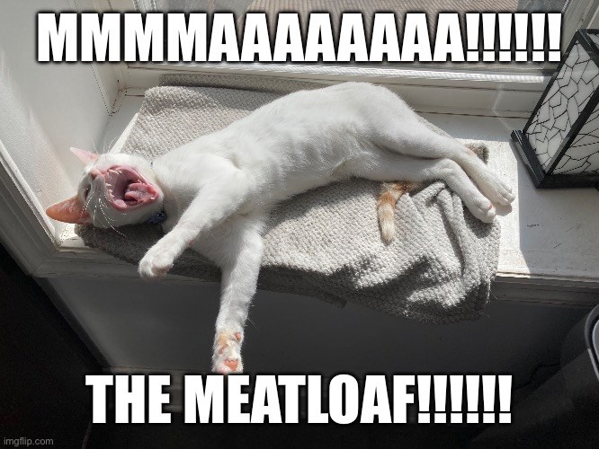 Maaaaa - Lolcats - lol | cat memes | funny cats | funny cat pictures ...