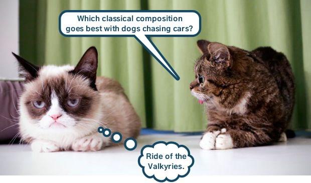 Classical composition - Lolcats - lol | cat memes | funny cats | funny ...