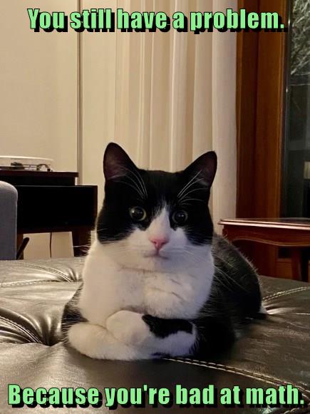 Math - Lolcats - lol | cat memes | funny cats | funny cat pictures with ...