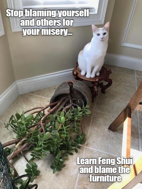 Blame the furniture - Lolcats - lol | cat memes | funny cats | funny ...