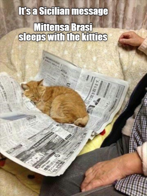 A message - Lolcats - lol | cat memes | funny cats | funny cat pictures ...