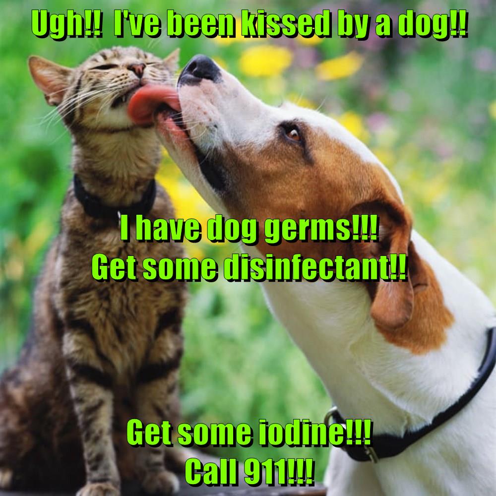 I've been kissed by a dog!! I have dog germs!!! Get some disinfectant ...