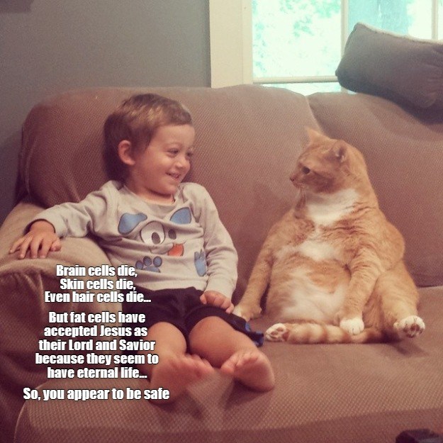 Whew... - Lolcats - lol | cat memes | funny cats | funny cat pictures ...