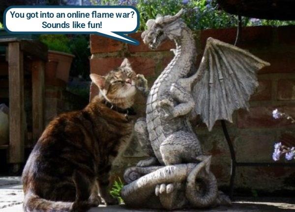 Trolls are toast - Lolcats - lol | cat memes | funny cats | funny cat ...