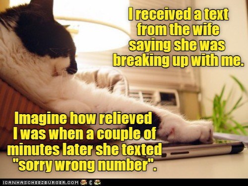Dodged that bullet. - Lolcats - lol | cat memes | funny cats | funny ...