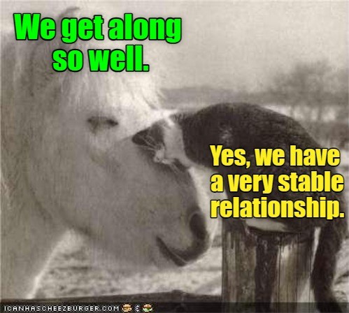 What happens in the barn, stays in the barn. - Lolcats - lol | cat ...