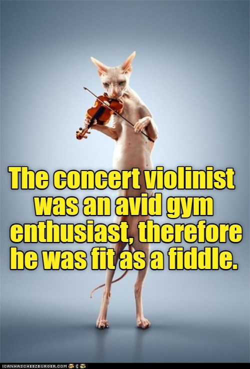 He was still rather high strung. - Lolcats - lol | cat memes | funny ...