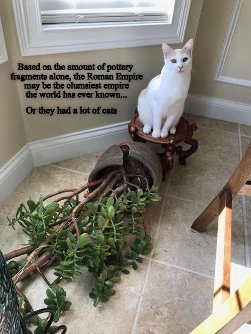 It's Probably The Cat Theory - I Can Has Cheezburger?