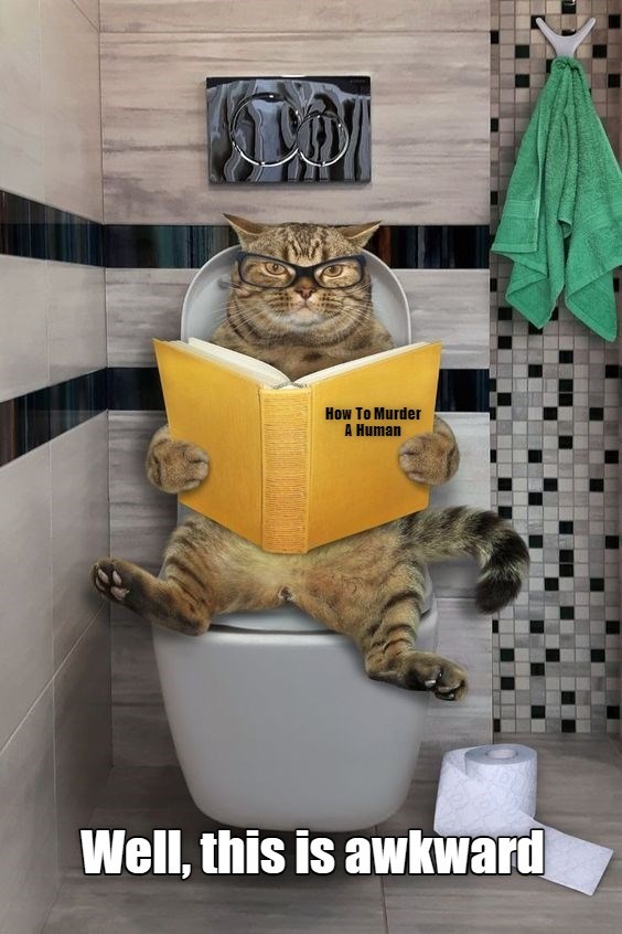 Off In The Distance, A Dog Barked - Lolcats - lol | cat memes | funny ...