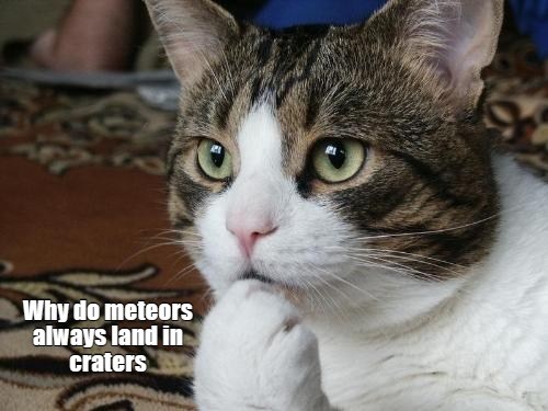 Is It Intelligent Design? - Lolcats - lol | cat memes | funny cats ...