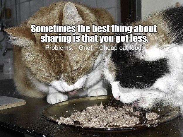Sharing is caring - Lolcats - lol | cat memes | funny cats | funny cat pictures with words on ...