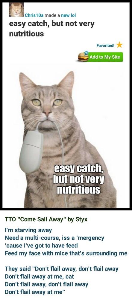 TTO "Come Sail Away" by Styx - Lolcats - lol | cat memes | funny cats ...
