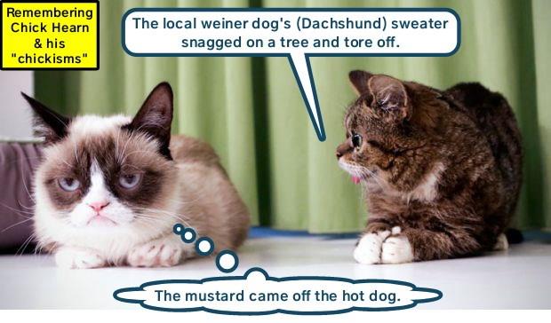 Remembering Chick Hearn & his "chickisms" - Lolcats - lol | cat memes ...