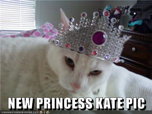 NEW PRINCESS KATE PIC - Lolcats - lol | cat memes | funny cats | funny ...