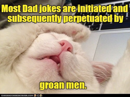 Childish humor - Lolcats - lol | cat memes | funny cats | funny cat ...