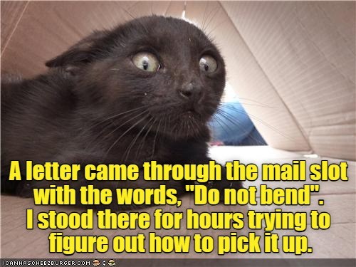 Assistance please - Lolcats - lol | cat memes | funny cats | funny cat ...