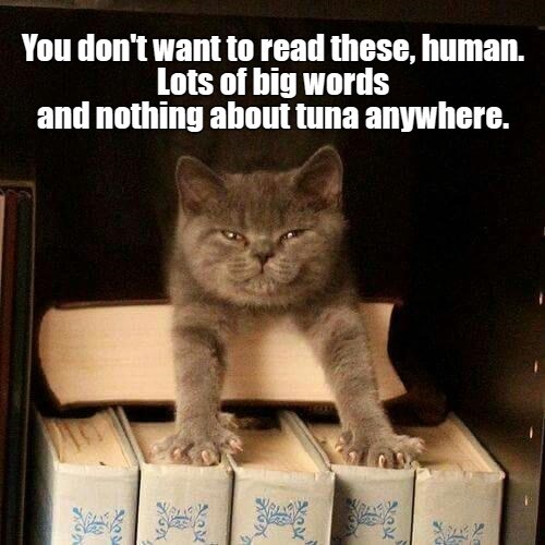 Too boring - Lolcats - lol | cat memes | funny cats | funny cat ...