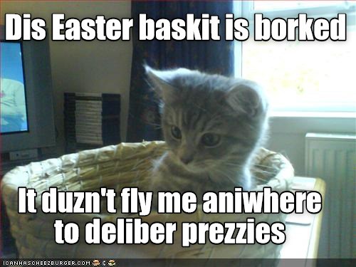 Borked - Lolcats - lol | cat memes | funny cats | funny cat pictures ...