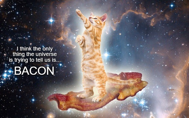 Bacon - Lolcats - lol | cat memes | funny cats | funny cat pictures ...