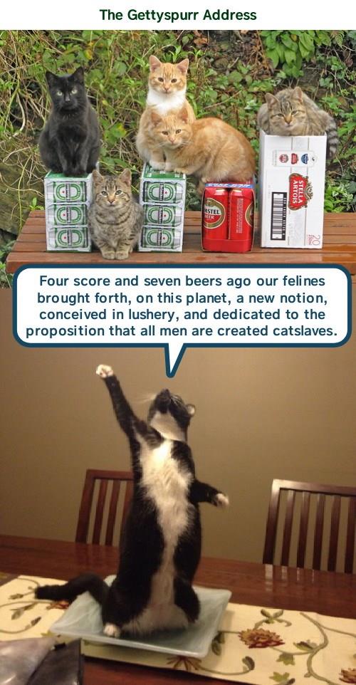 The Gettyspurr Address - Lolcats - lol | cat memes | funny cats | funny ...