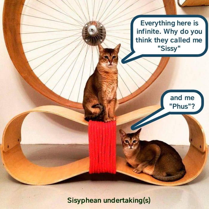 Infinite - Lolcats - lol | cat memes | funny cats | funny cat pictures ...