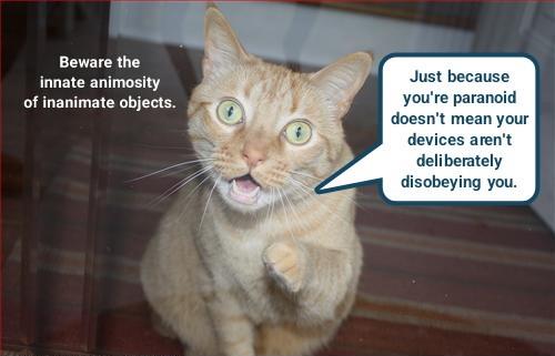 Beware - Lolcats - lol | cat memes | funny cats | funny cat pictures ...