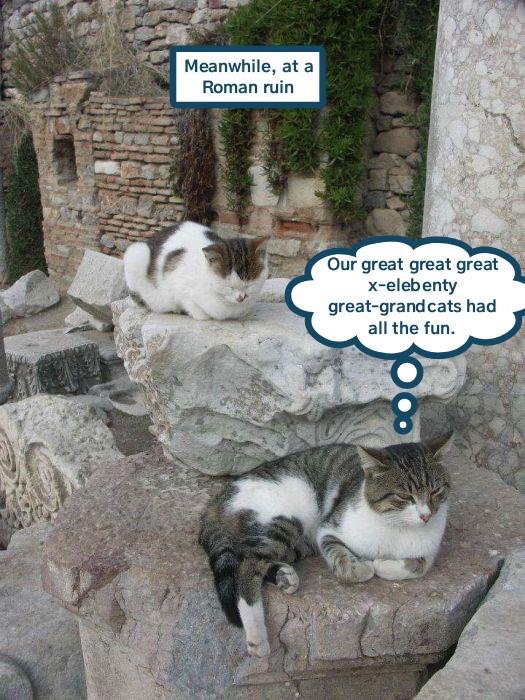 Ancestors - Lolcats - lol | cat memes | funny cats | funny cat pictures ...