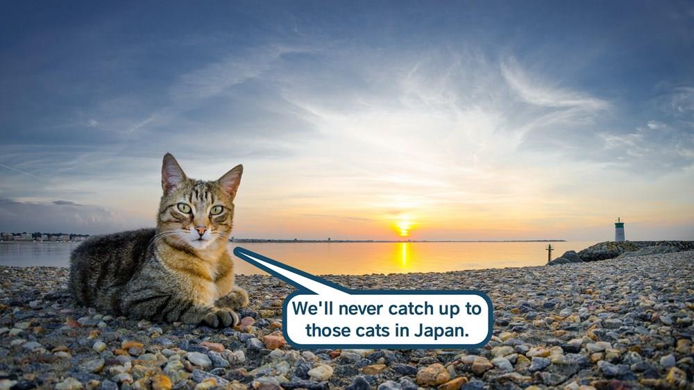 By the time we get there, it's too late - Lolcats - lol | cat memes ...