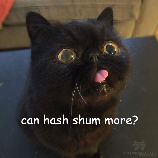 Pls? - Lolcats - lol | cat memes | funny cats | funny cat pictures with ...