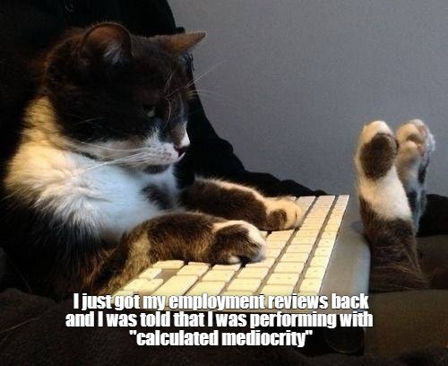 The Most Amazing Phrase - Lolcats - lol | cat memes | funny cats ...