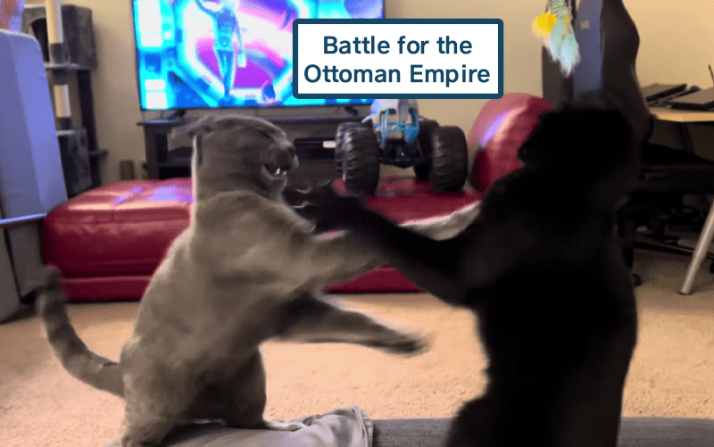 The rightful ruler triumphs - Lolcats - lol | cat memes | funny cats ...