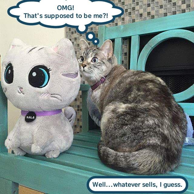 Impawssibly distorted - Lolcats - lol | cat memes | funny cats | funny ...