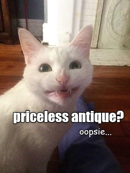 Oopsie - Lolcats - lol | cat memes | funny cats | funny cat pictures ...