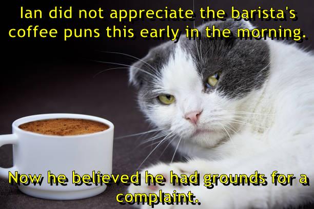 Grounds for complaint - Lolcats - lol | cat memes | funny cats | funny ...