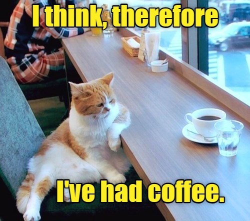 Meowrnings - Lolcats - lol | cat memes | funny cats | funny cat ...