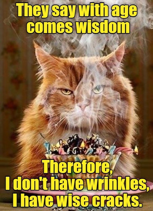 Just embrace it - Lolcats - lol | cat memes | funny cats | funny cat ...