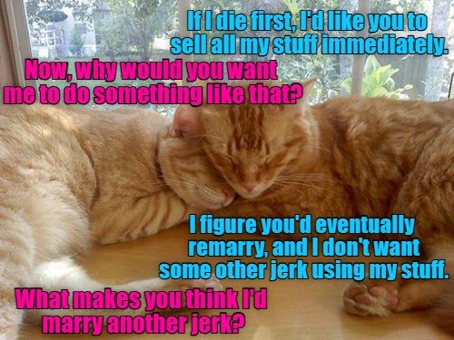 Honest conversations - Lolcats - lol | cat memes | funny cats | funny ...
