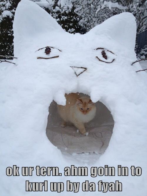 Your turn - Lolcats - lol | cat memes | funny cats | funny cat pictures ...