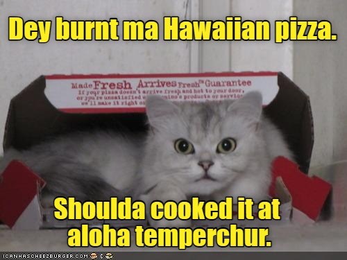 Overcooked - Lolcats - lol | cat memes | funny cats | funny cat ...