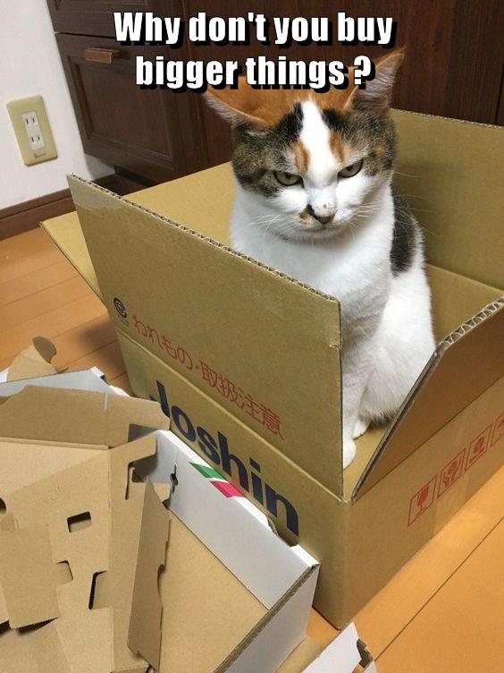 Need a bigger box - I Can Has Cheezburger?
