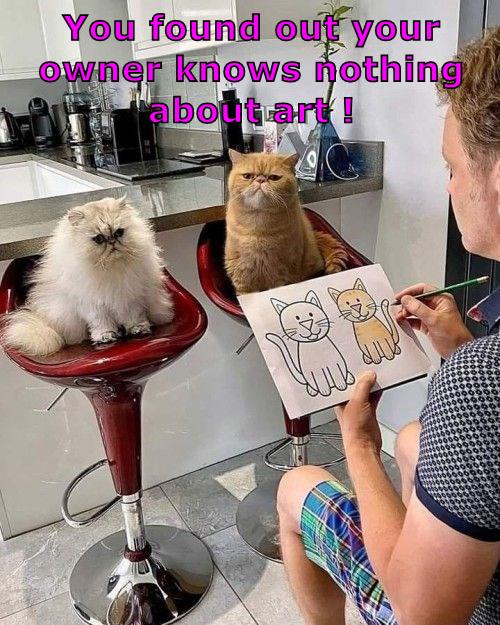 Nothing at all - Lolcats - lol | cat memes | funny cats | funny cat ...