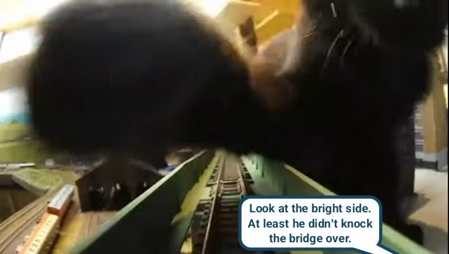 The bright side - Lolcats - lol | cat memes | funny cats | funny cat ...