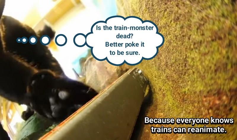 Zombie trains? - Lolcats - lol | cat memes | funny cats | funny cat ...