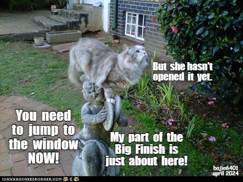 Open the window! - Lolcats - lol | cat memes | funny cats | funny cat ...