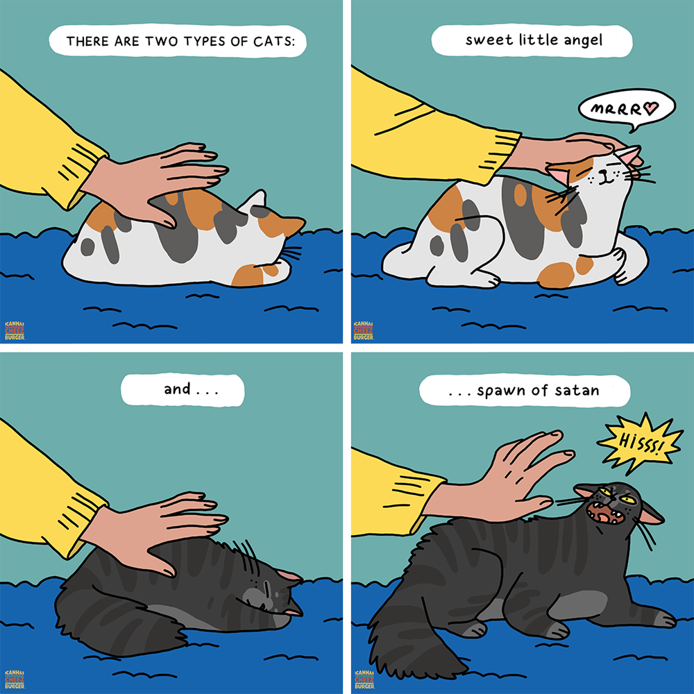 I Can Has Cheezburger? - Page 10 - Funny Animals Online - Cheezburger