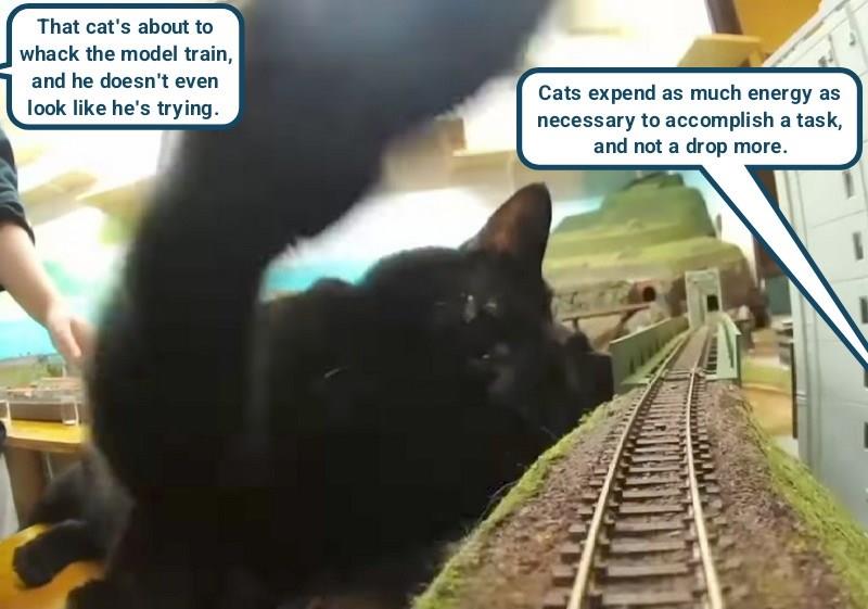 Cats are energy efficient - Lolcats - lol | cat memes | funny cats ...